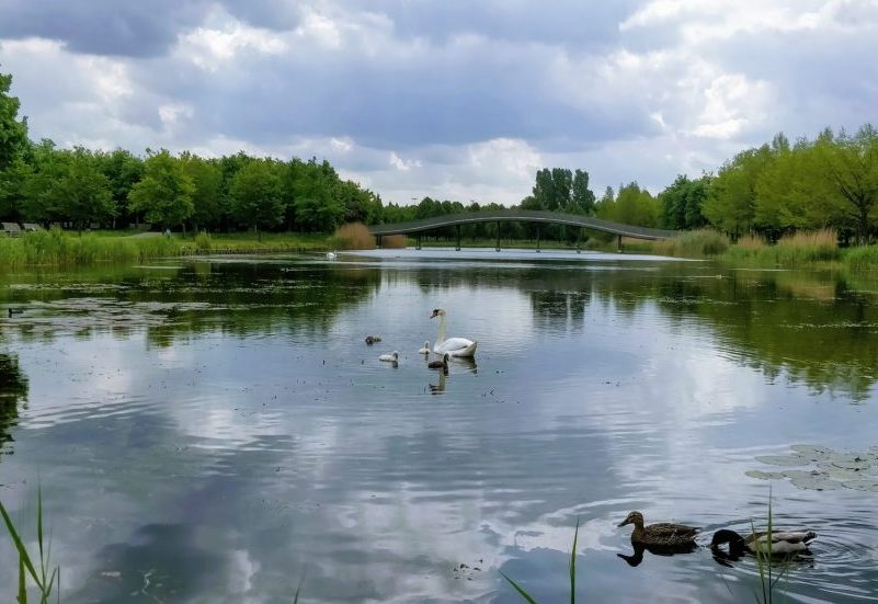 Natuur & Landschap - Maximapark