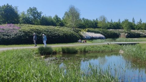 Home page 2024 - Maximapark