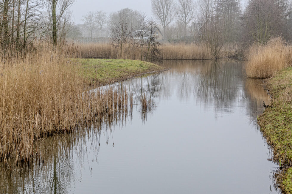 Winter in het park - Maximapark